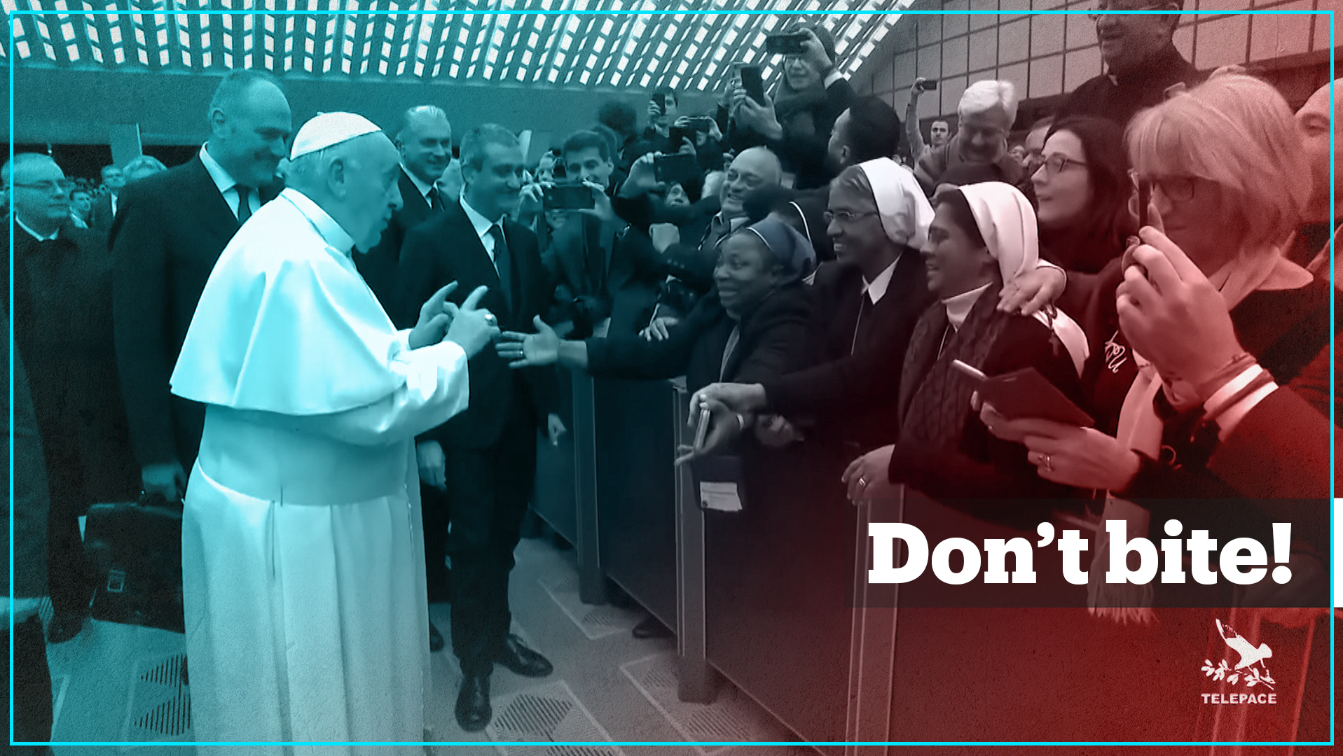 ‘Don’t bite’: Pope Francis ‘jokes’ to a nun - TRT World