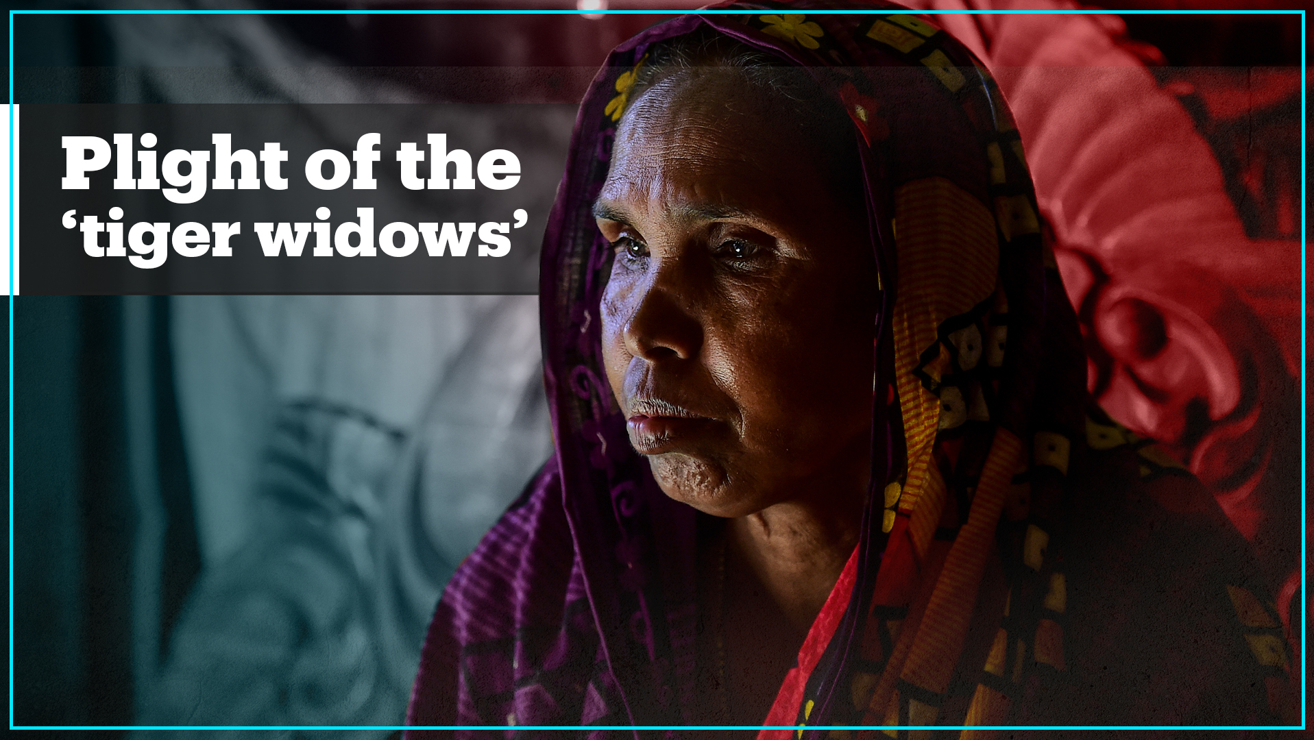 ‘Tiger widows’ of the Sundarbans - TRT World