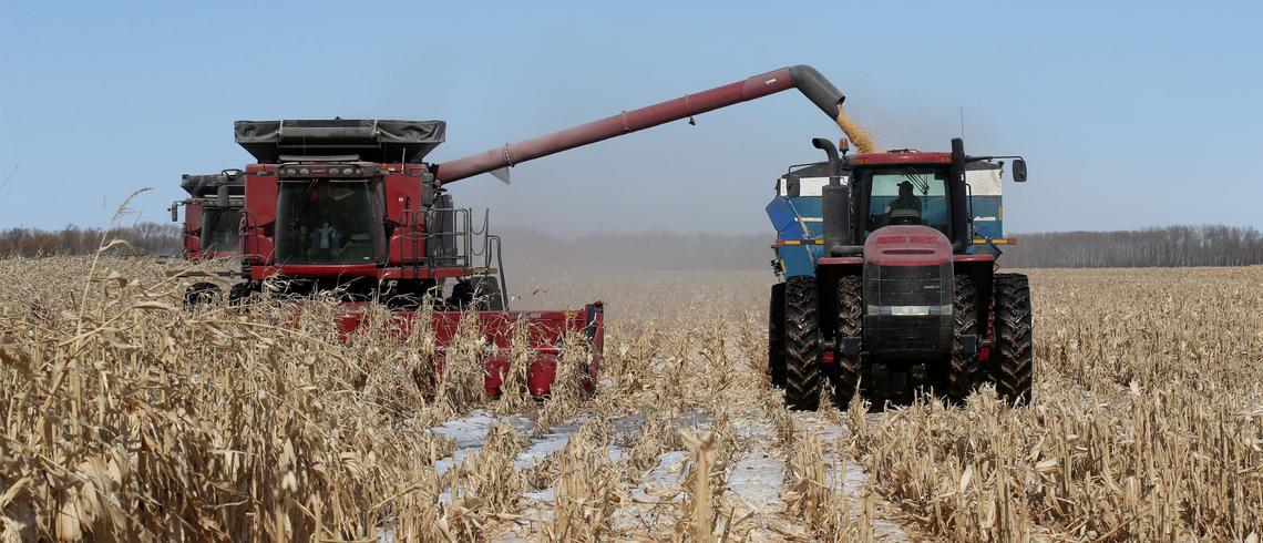 How the pandemic affects agricultural production across the world