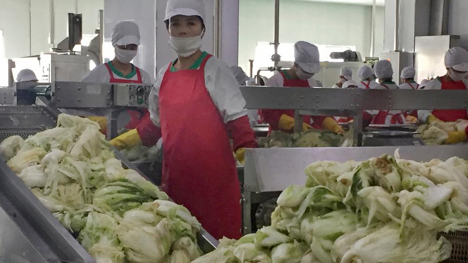 Secret sauce? North Korean leader applies science to kimchi-making