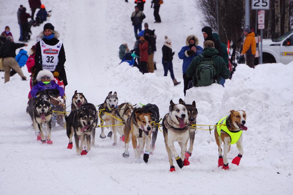 Iditarod race starts with pageantry and focus on preventing disease spread